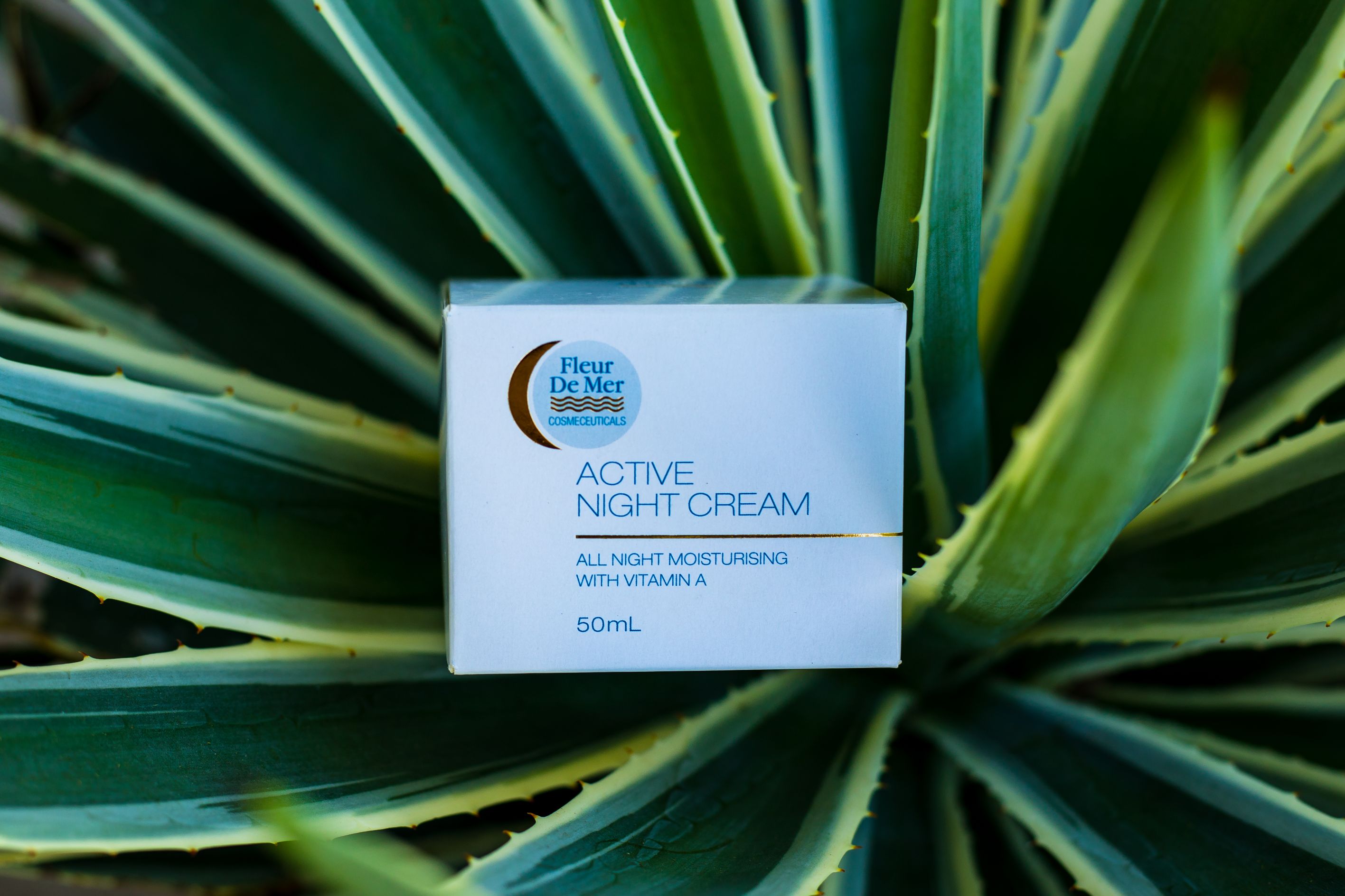 Active Night Cream – Waterleaf Skin Health and Beauty